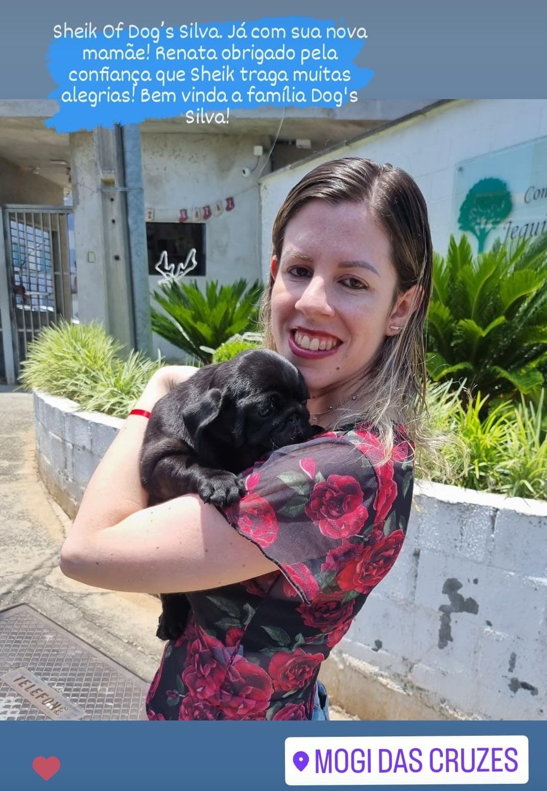 Canil Dog Silva – Criação de Pug e Yorkshire Terrier São Paulo/SP
